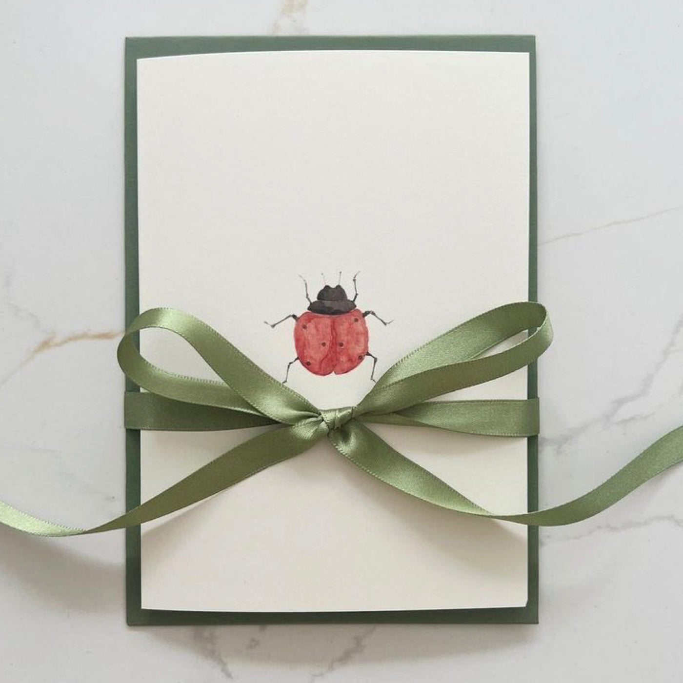 Ladybird Insect Greetings Card