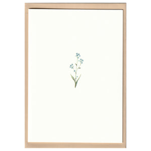 Set of Floral Greetings Cards