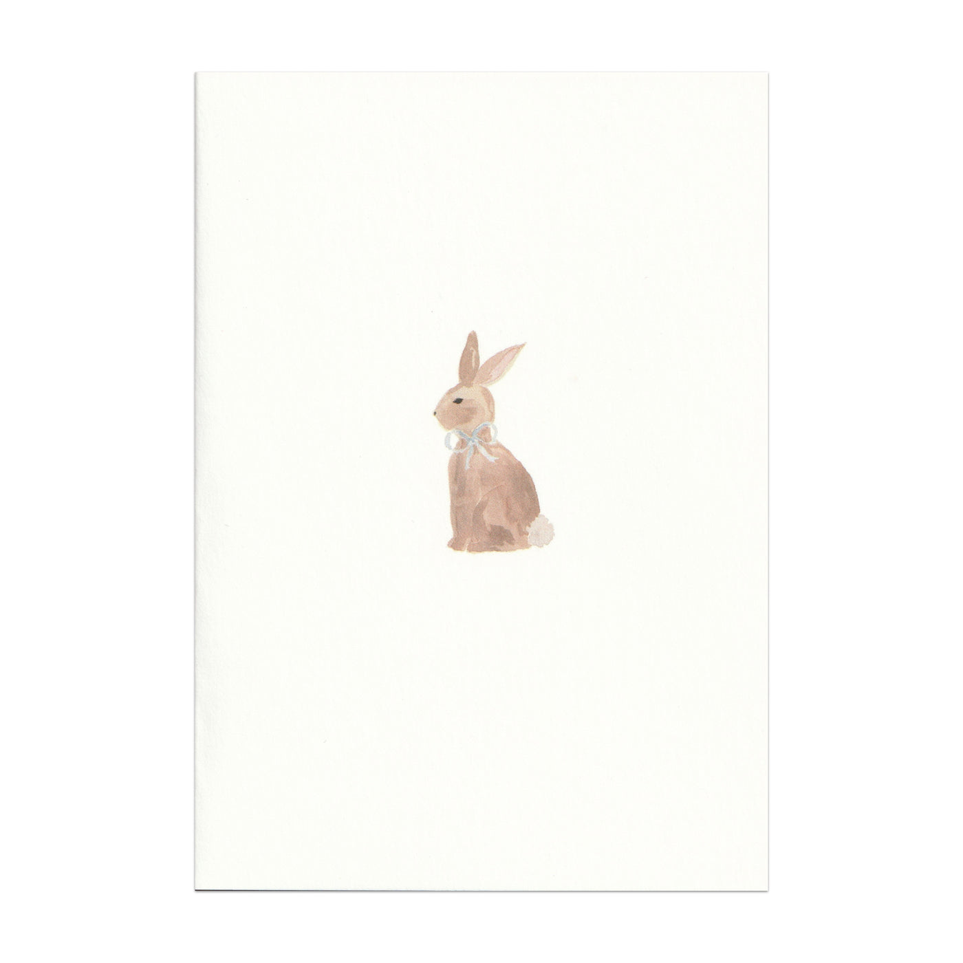 Bunny Rabbit Greetings Card