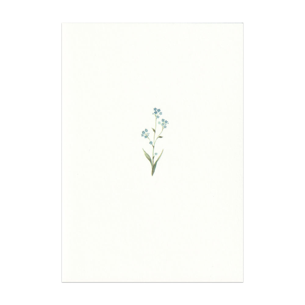 Pack of 5 Forget Me Not Greetings Cards
