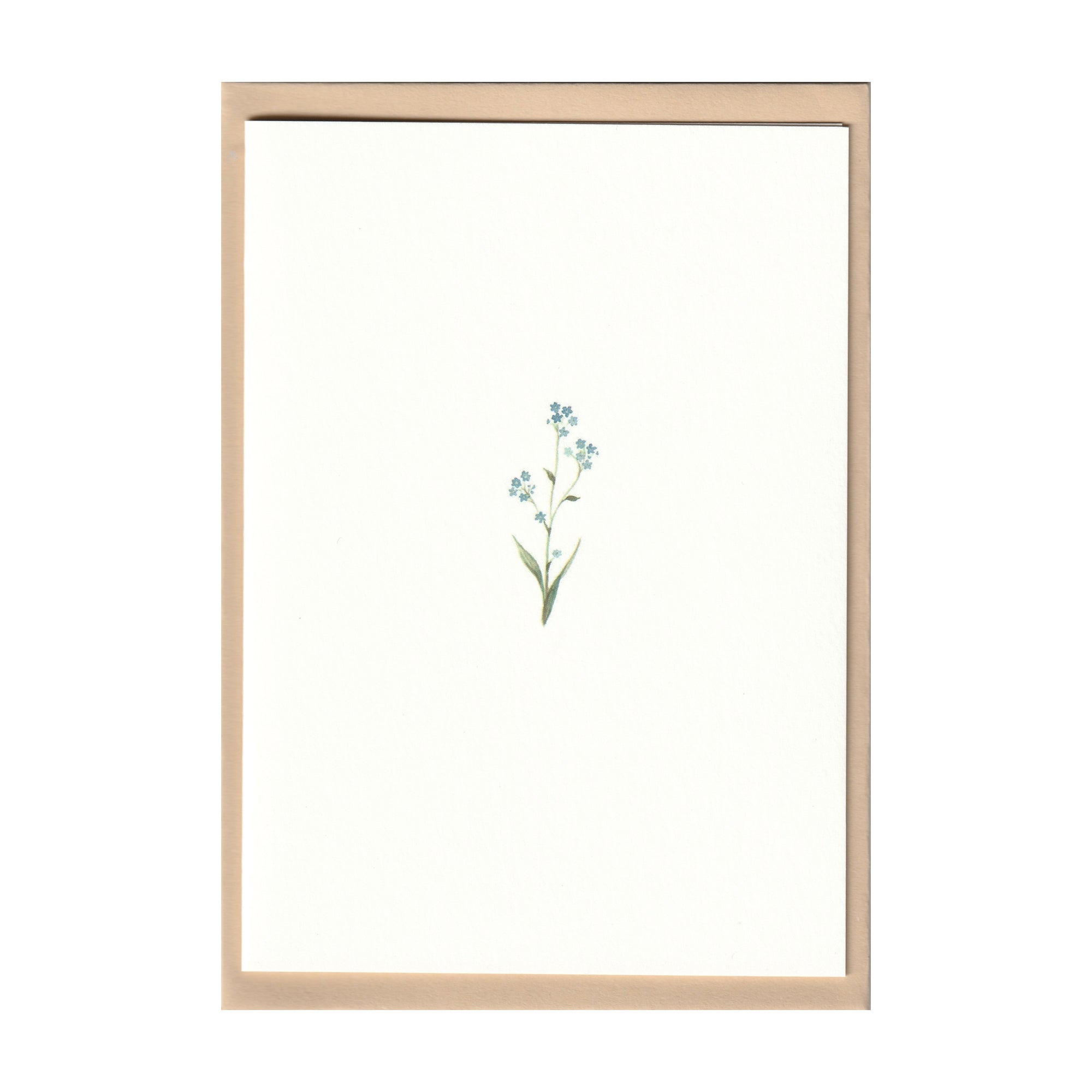 Forget Me Not Flower Card