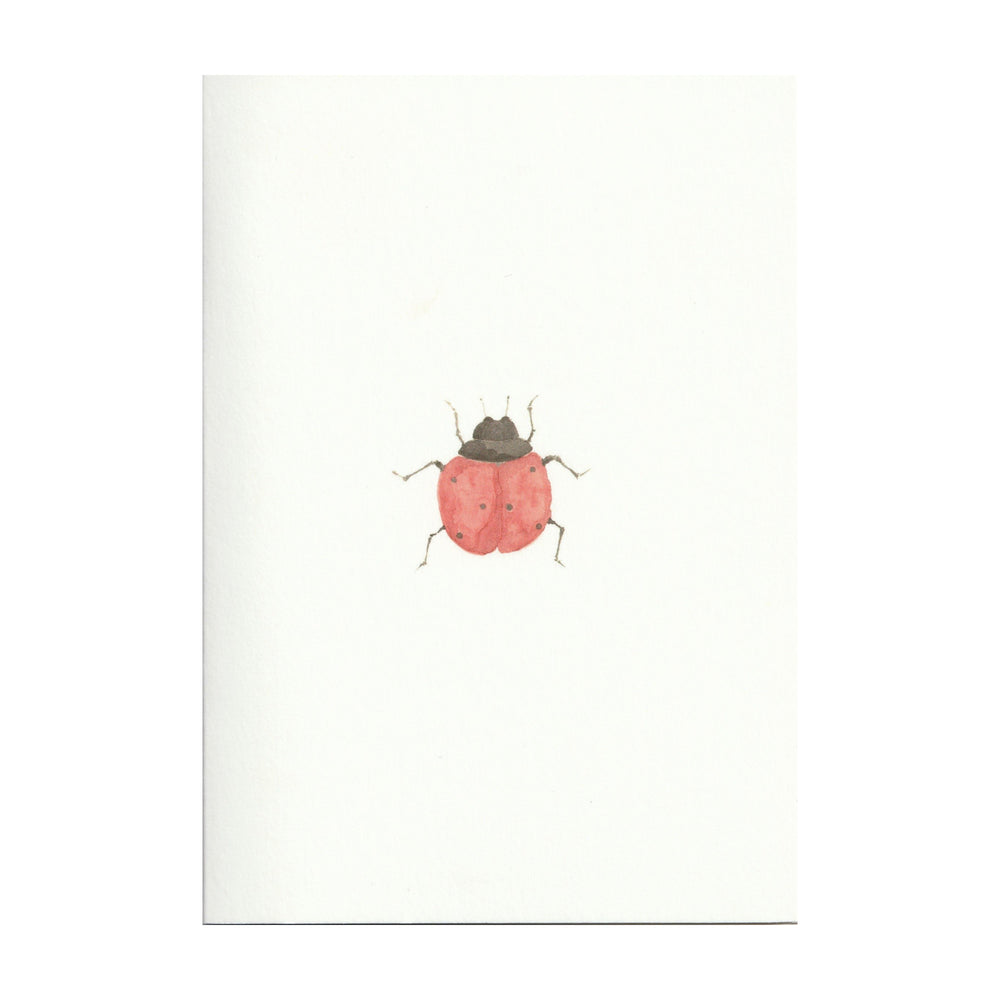 Ladybird Insect Greetings Card