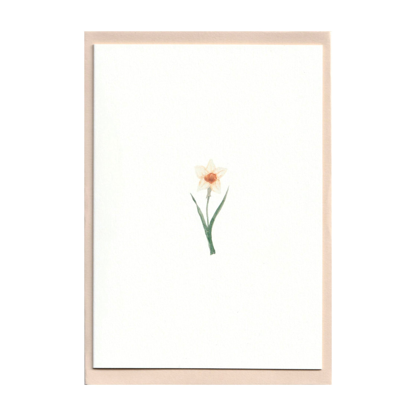 Pack of 5 Daffodil Greetings Cards