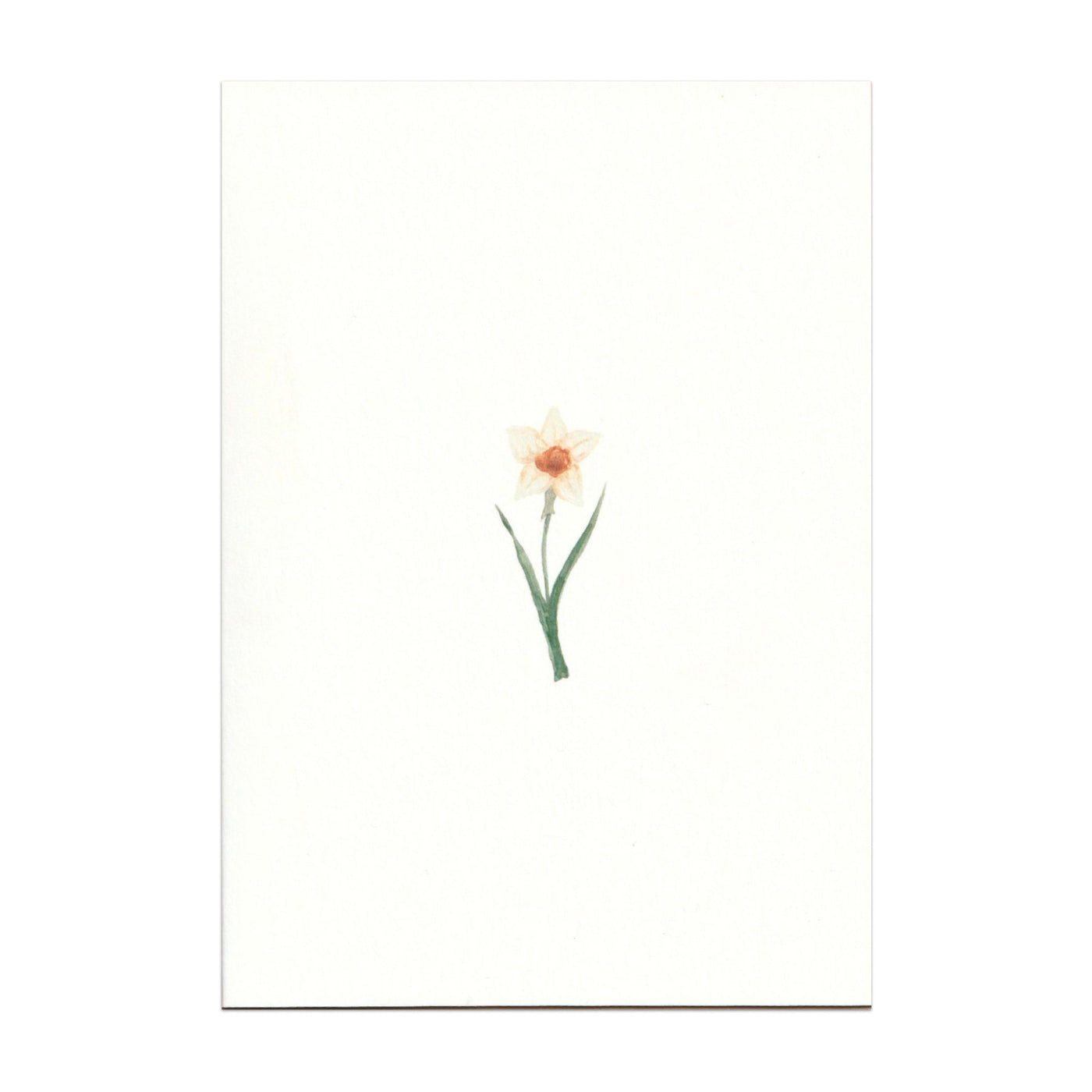 Pack of 5 Daffodil Greetings Cards