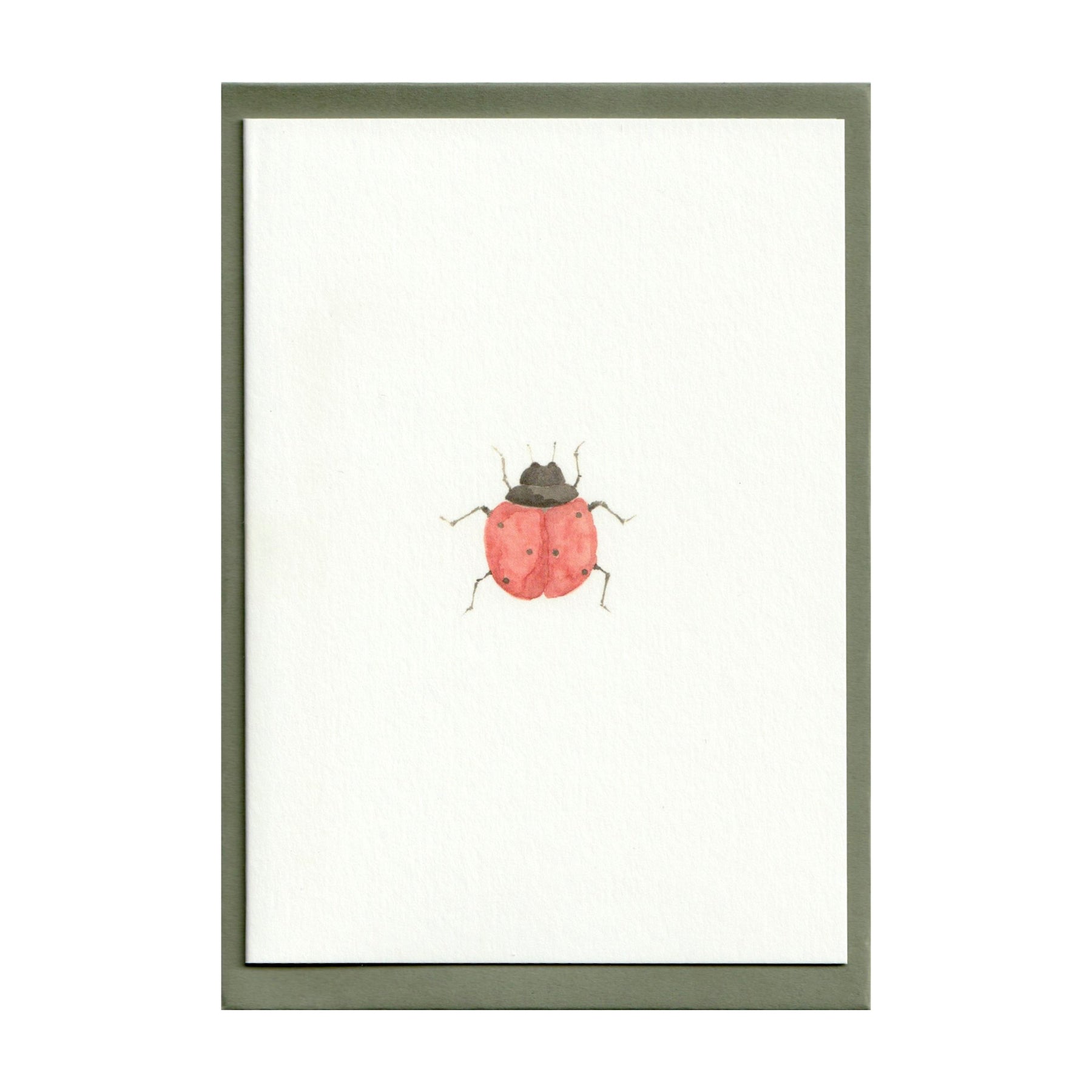 Ladybird Insect Greetings Card