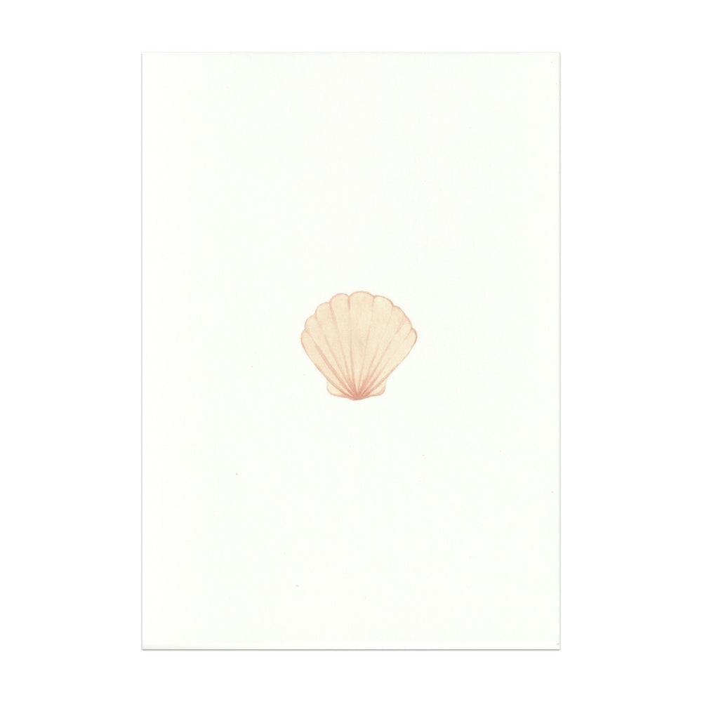 Pack of 5 Seashell Greetings Cards