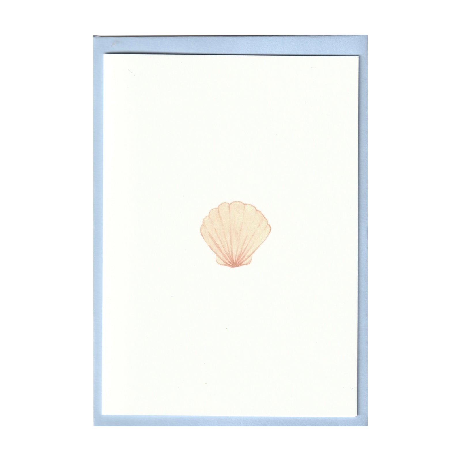 Pack of 5 Seashell Greetings Cards